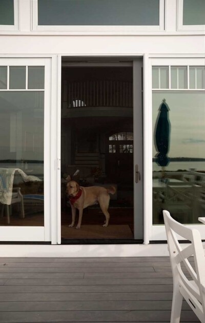 SINGLE - Screening Solutions Ohio